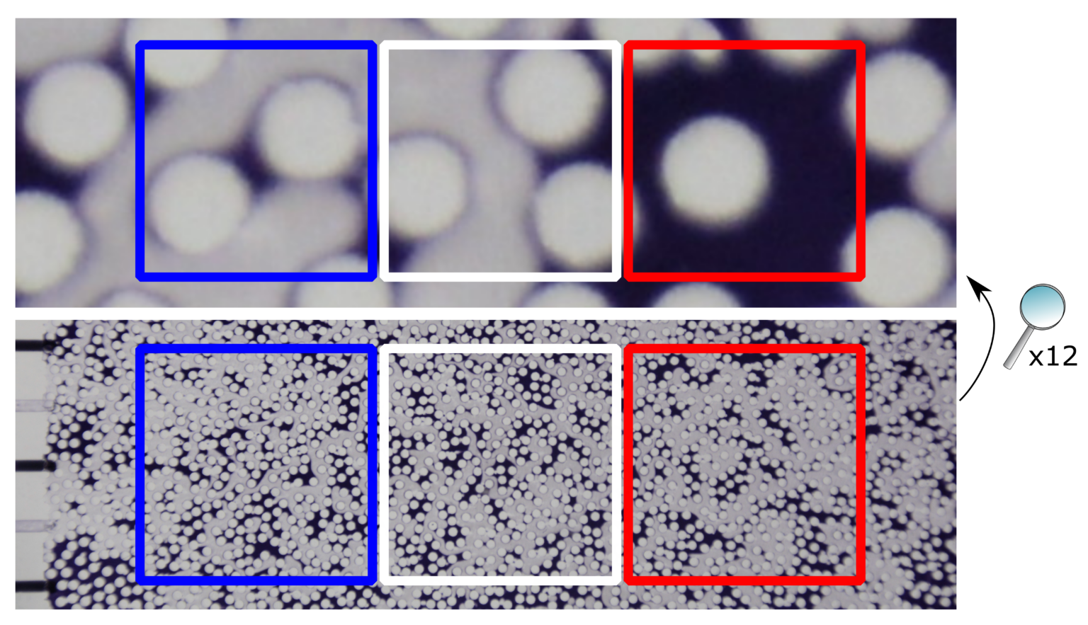 Research Theme 2 Steady State Experiments And Coarse Grained Modeling